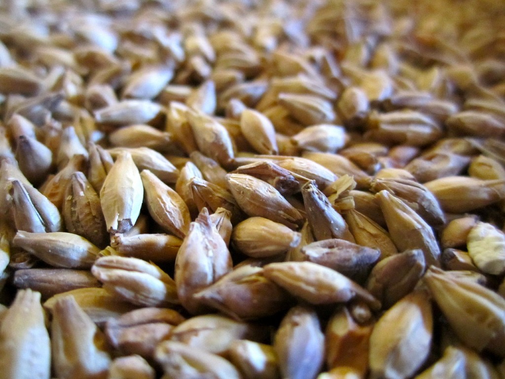 Designing and Brewing a Flanders Red Ale - Sour Beer Blog