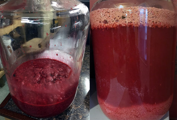 A Guide To Blending Sour Beer With Fruit - Sour Beer Blog