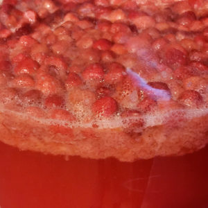 A Guide To Blending Sour Beer With Fruit - Sour Beer Blog